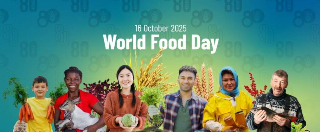 World Food Day 2025: CAPPA urges government to act on junk food - The ...